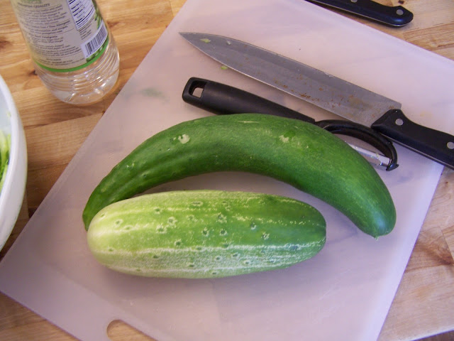 Somethings Old, New, Green, Redo!: Danish Fresh Dill pickles