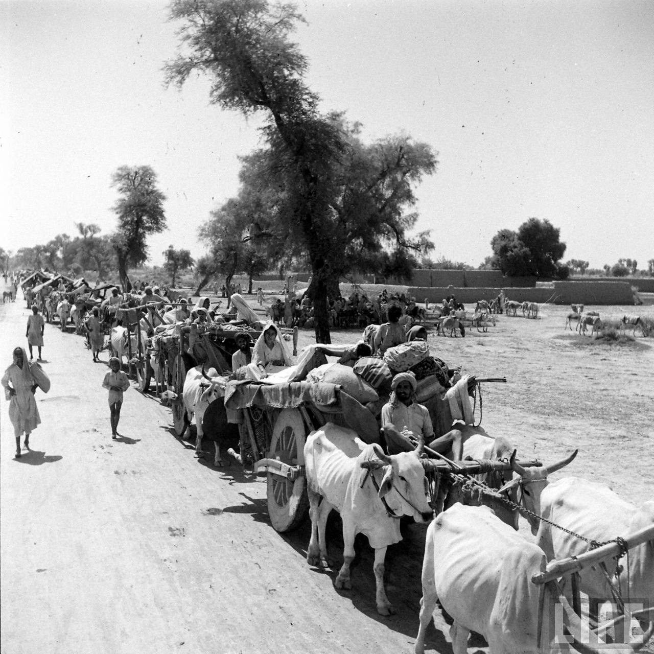 Partition Of India (Indian Partition) Rare Photos | Rare & Old Vintage Photos (1947)
