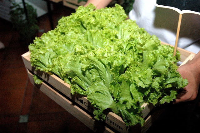 DUDE FOR FOOD: Freshest. Finest. First. A Day at Gourmet Farms...