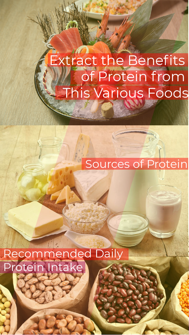 Extract the Benefits of Protein from This Various Foods ~ Healthy ...