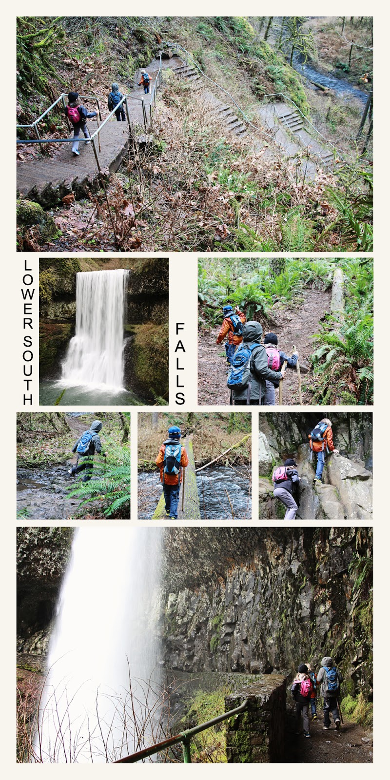 Hiking Oregon With Kids: Maple Ridge Trail at Silver Falls State Park