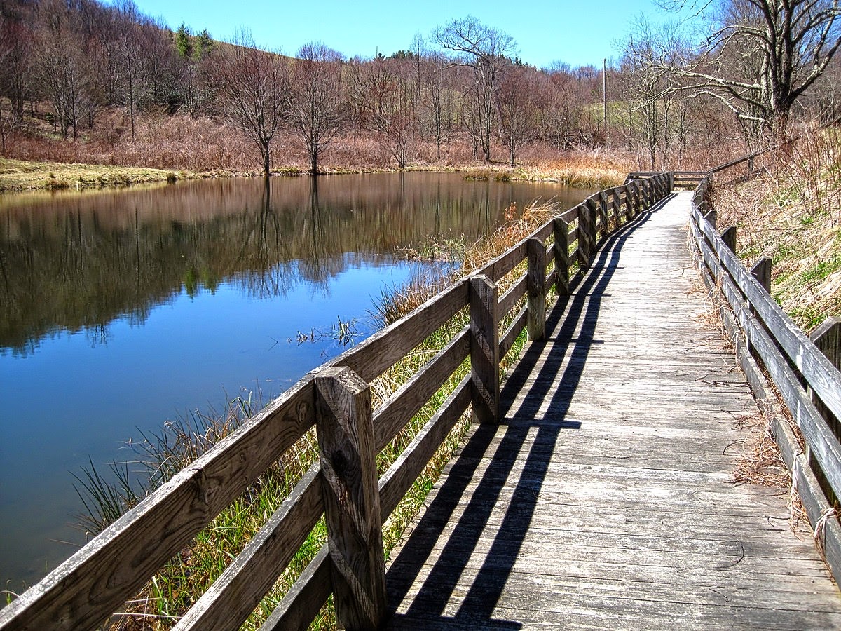 Gary's Outdoor Wanderings2: SEARCH FOR MAX PATCH