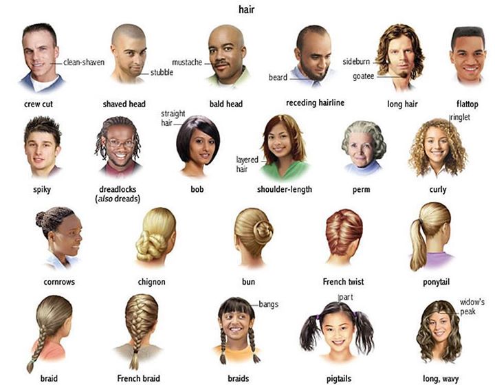 Let's play: Visual Vocabulary Hair