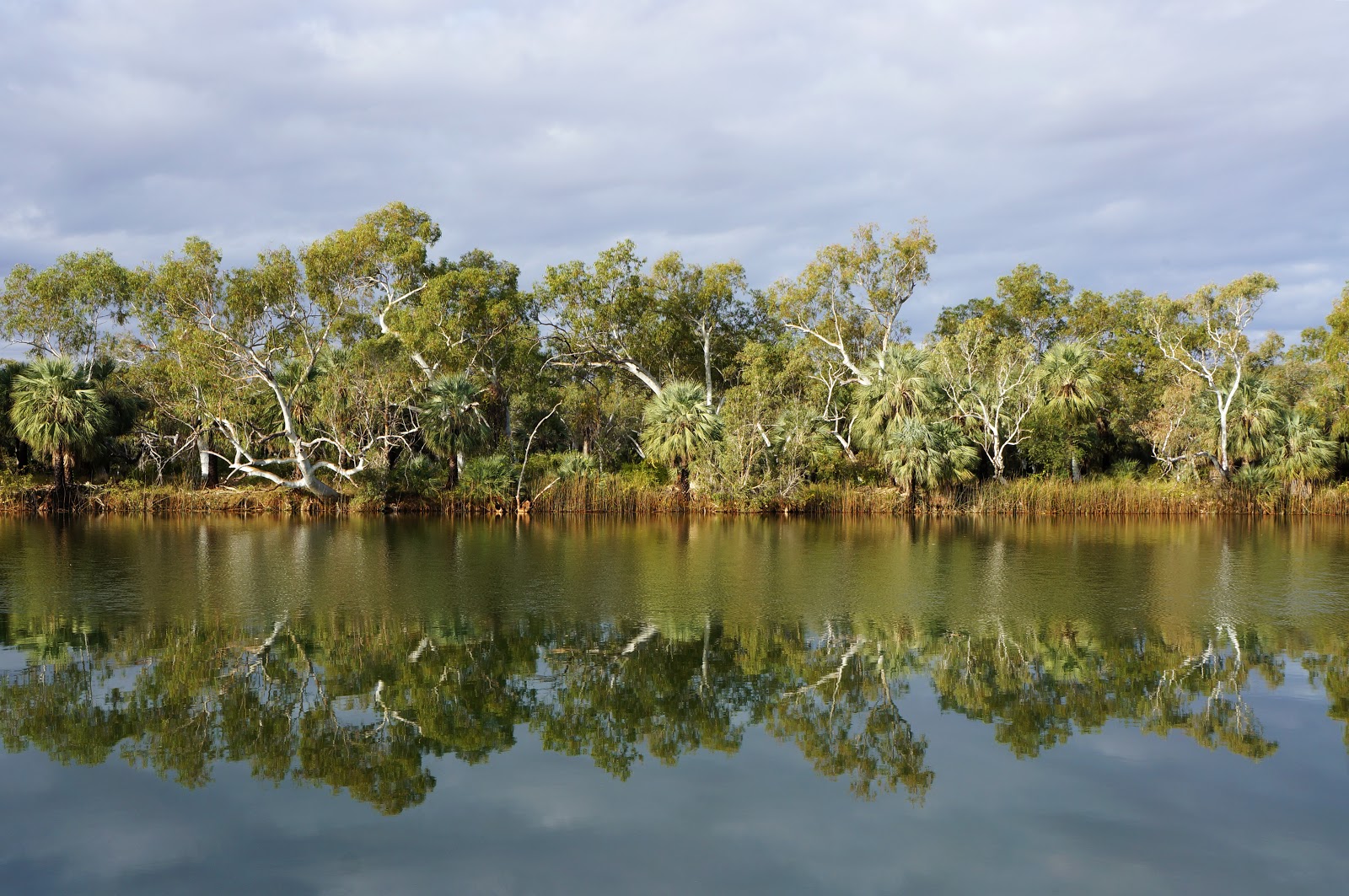 Camel Trail (Millstream Chichester National Park) ~ The Long Way's Better