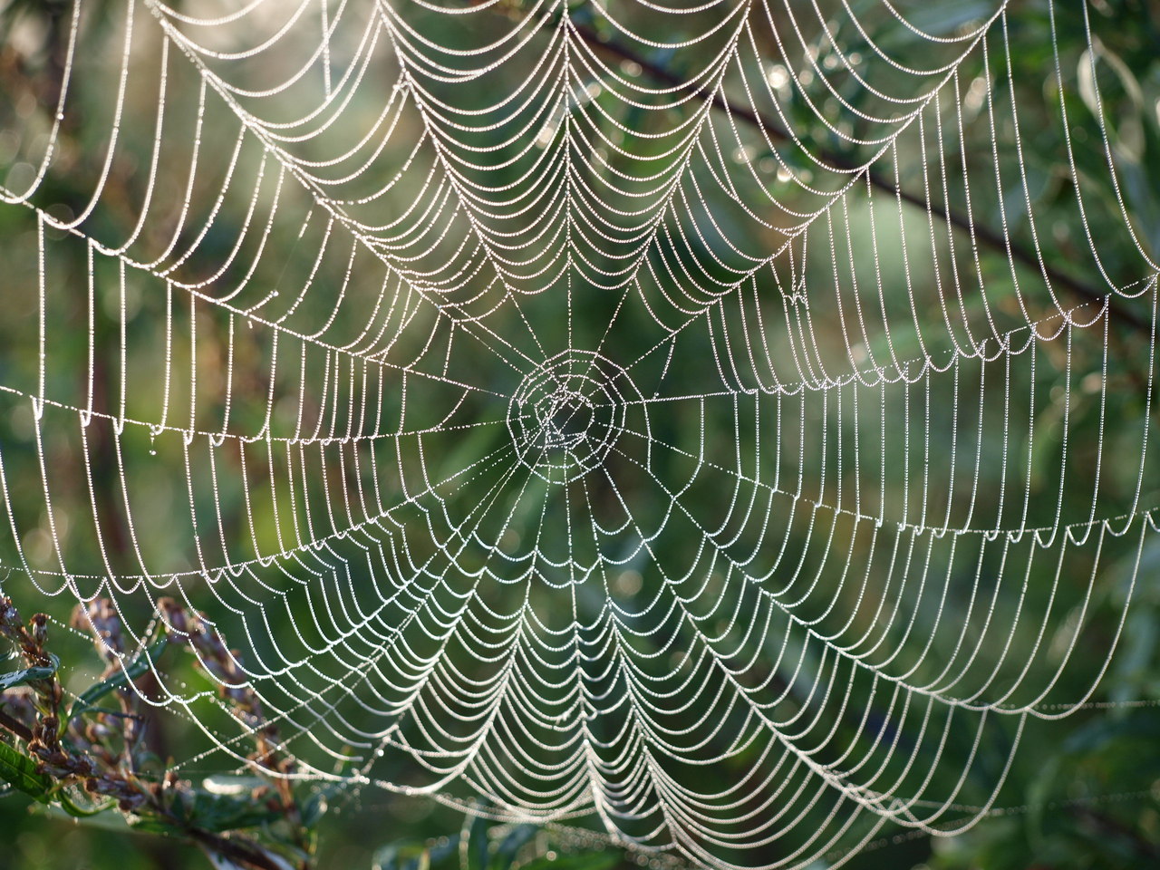 adrian.digital.S3: October 2011