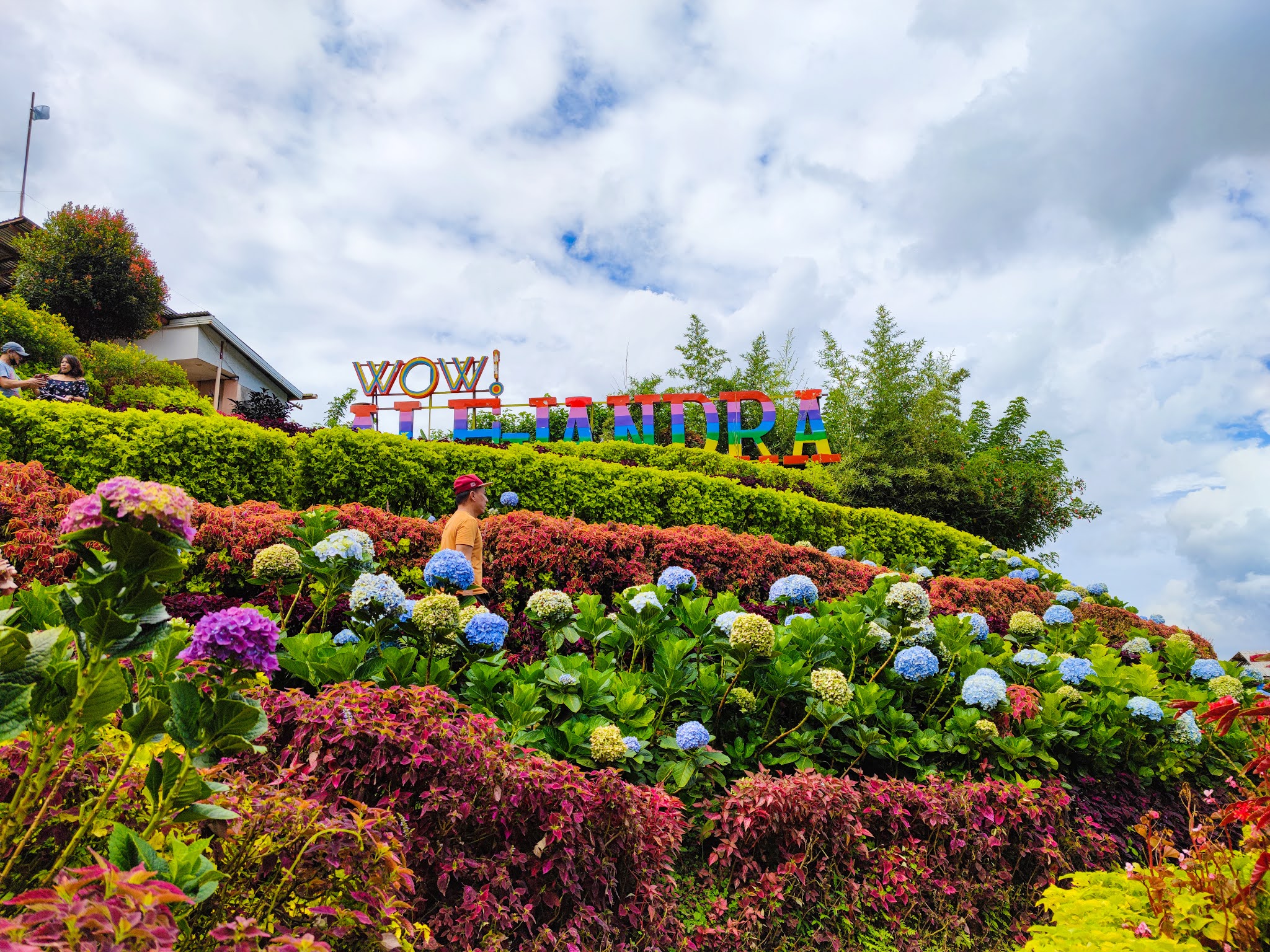 Alejandra: The Instagram-Worthy Flower Garden in Cebu - The Pinoy Traveler