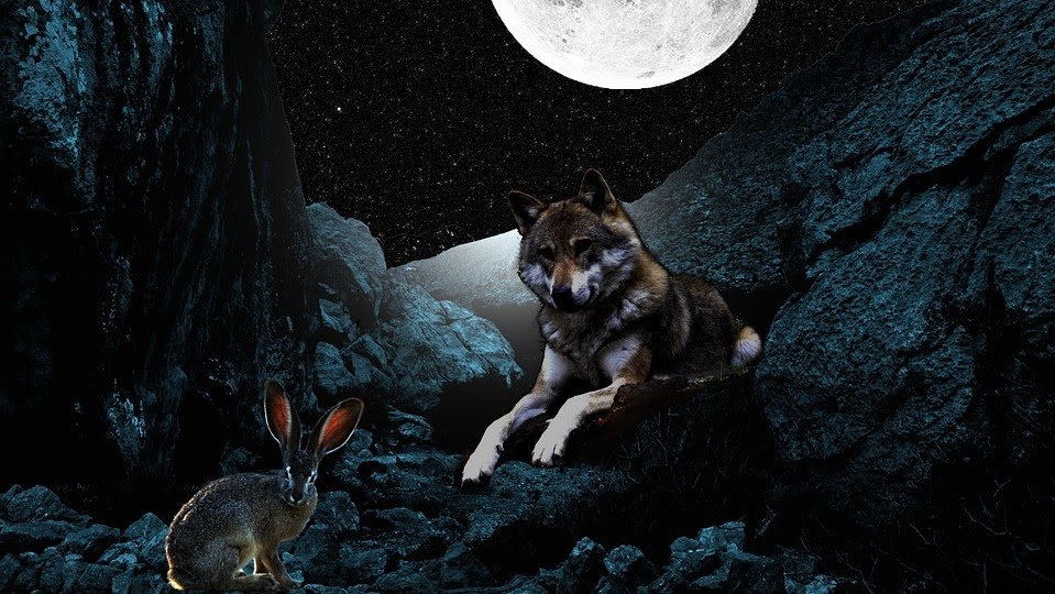 «El lobo filósofo» de Leticia Flores: un mensaje para meditar