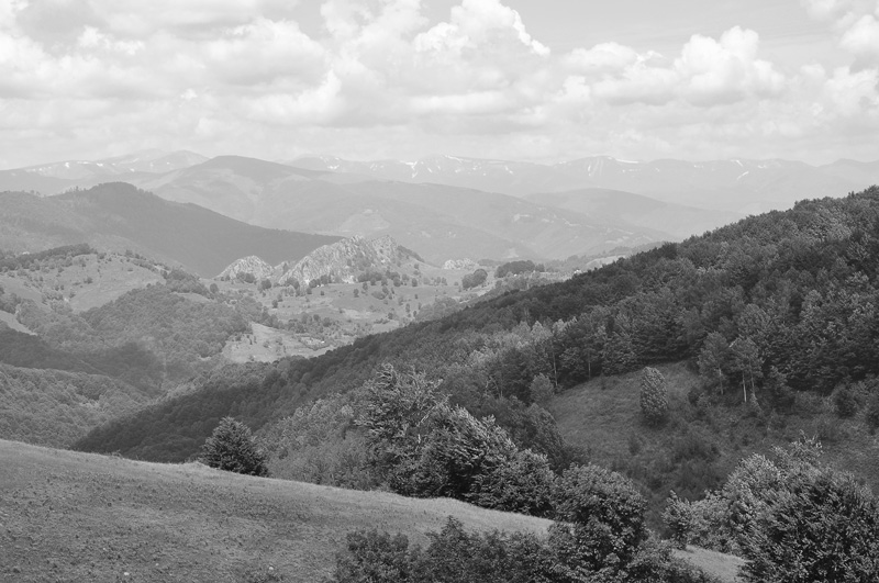 In linii mari: Imagini alb-negru sau color?