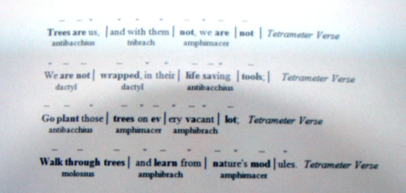 https:poetrydish.blogspot.com: Tribrach Foot