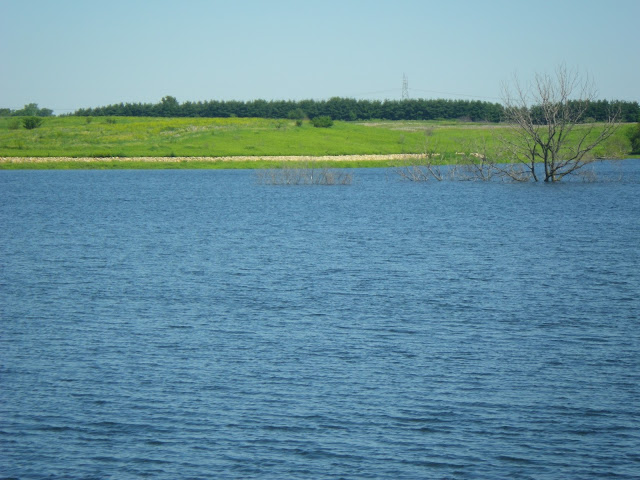 The Lost Grove Lake Mapping Project
