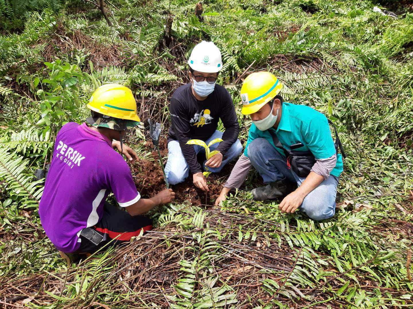Forest Restoration EN: First Phase of Tree Planting