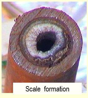 Analisa Profil Kerusakan Tube Boiler PLTU (1 of 2) - sea weedte