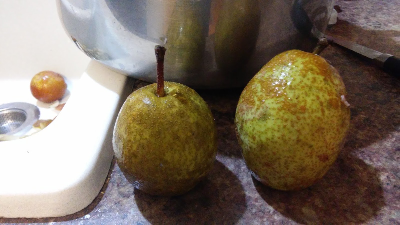 DELIGHTED HANDS: Sand Pear Sauce