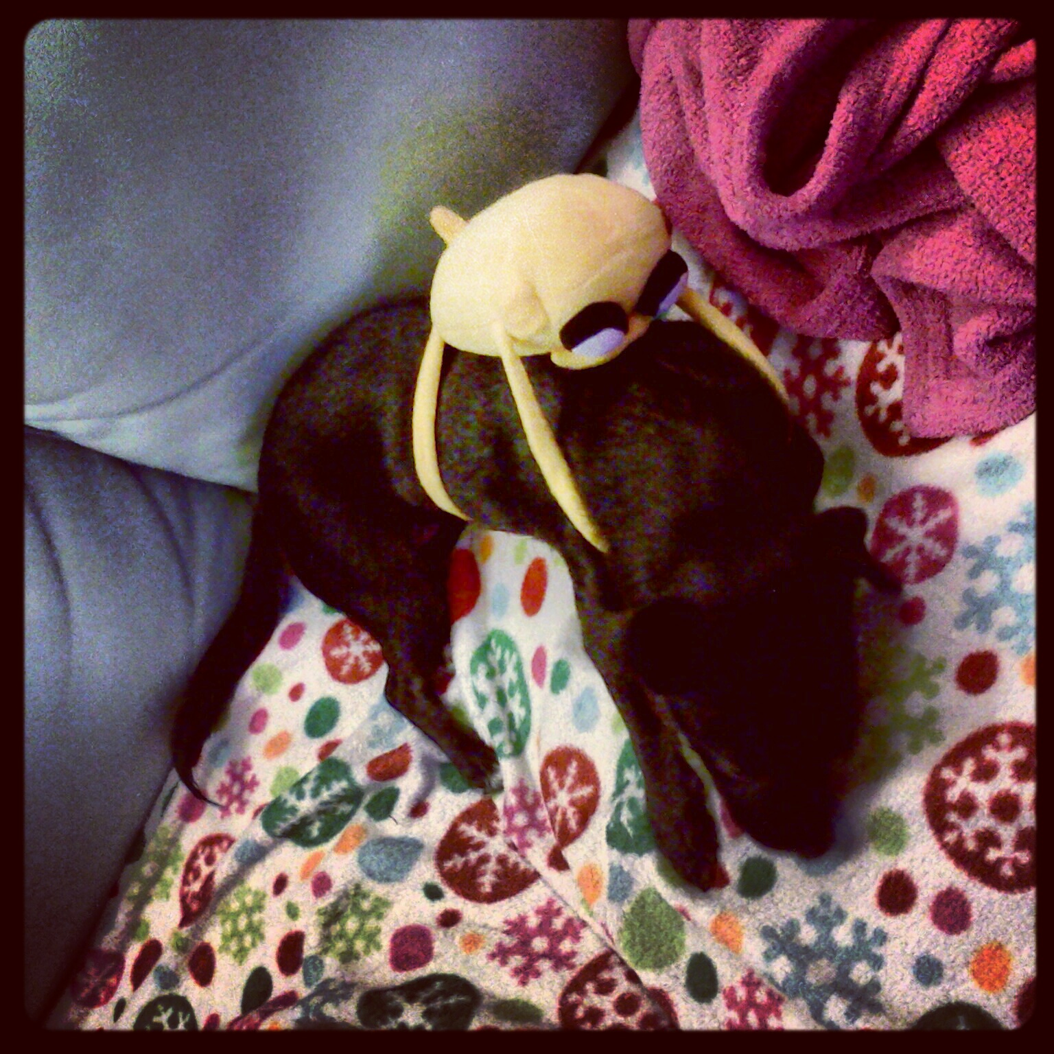 Confetti Monster Schemes: Collection #9: Adventure Time!