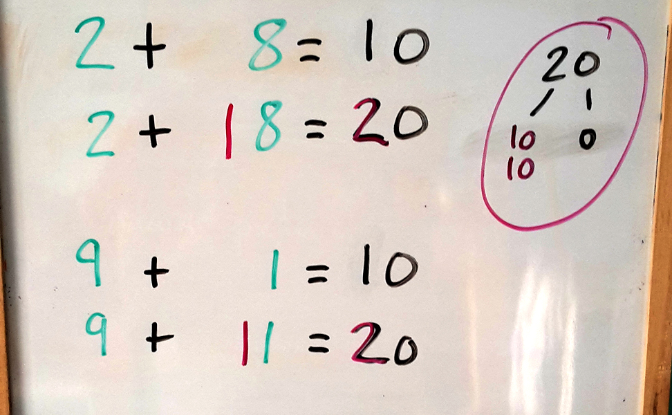 Picnic Panda's Learning Journey: Number Bonds to 20