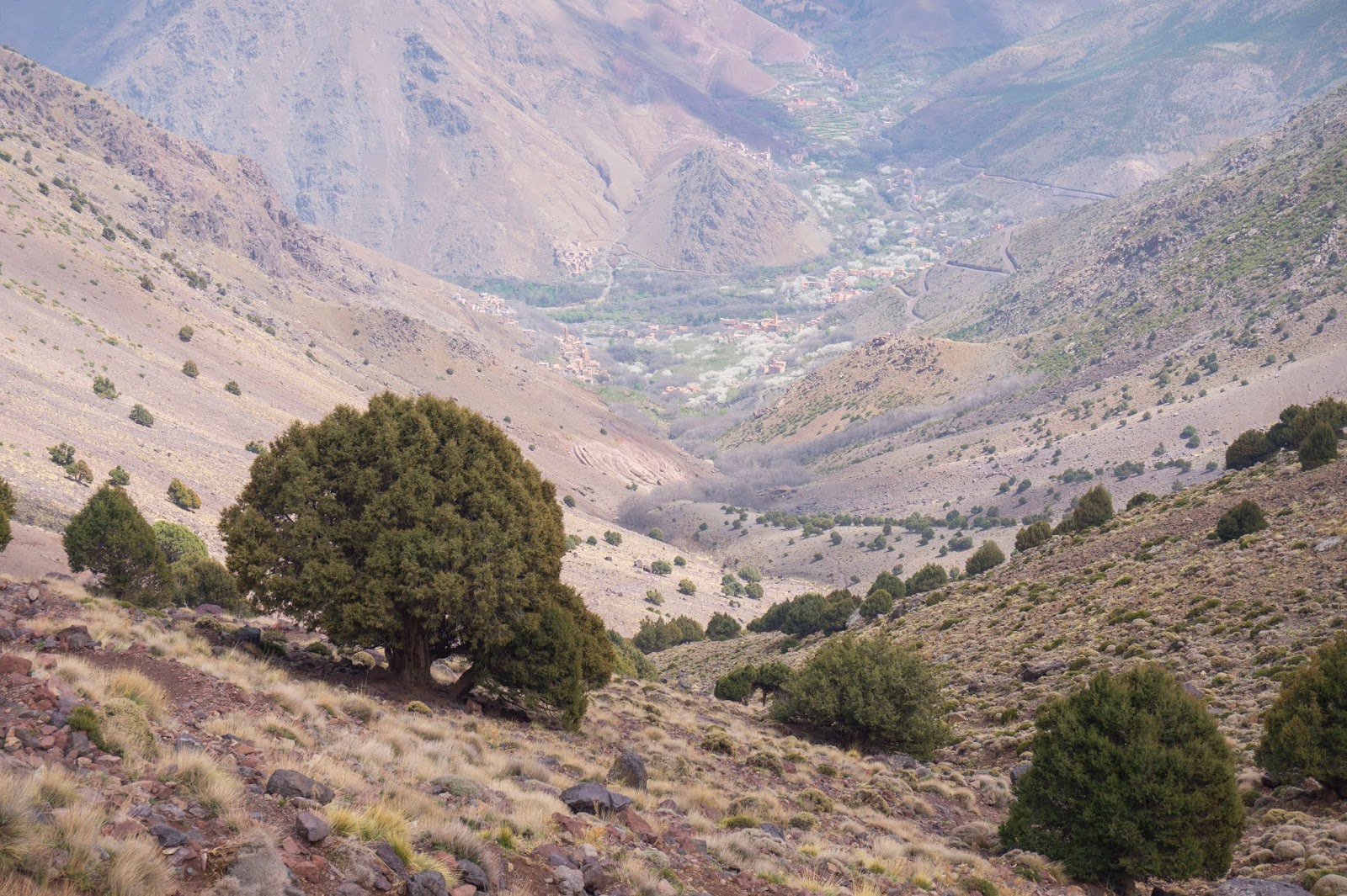 Maroc - Pe vârful Toubkal, acoperișul munților Atlas (29 martie-1 ...