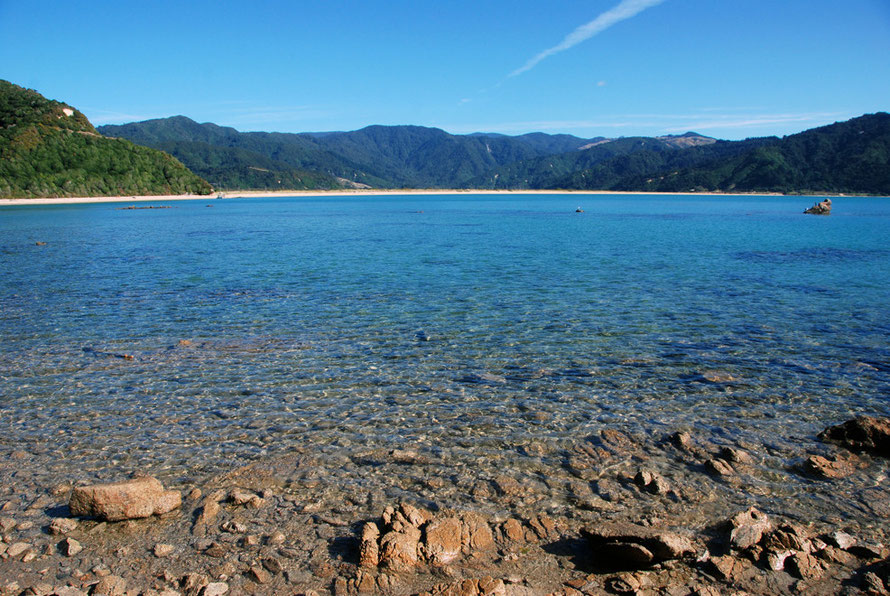 Tramping in the New Zealand backcountry: NZ Bush Adventures: Tramping ...