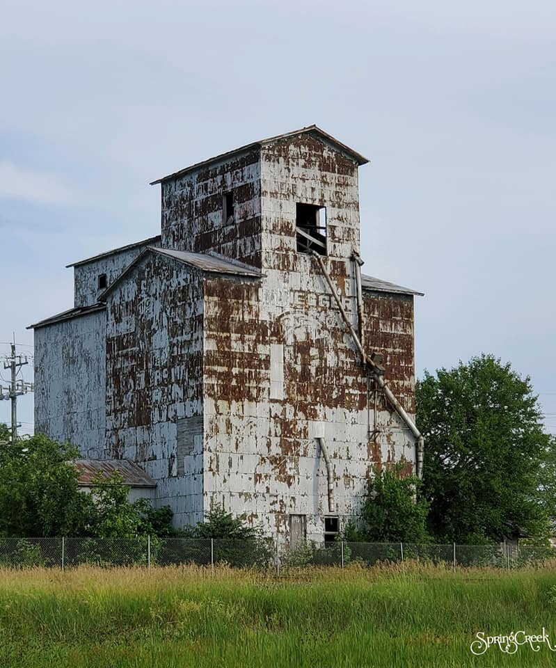 Towns and Nature: Cayuga, IL: 1901 GM&O Depot and Wood Grain Elevator