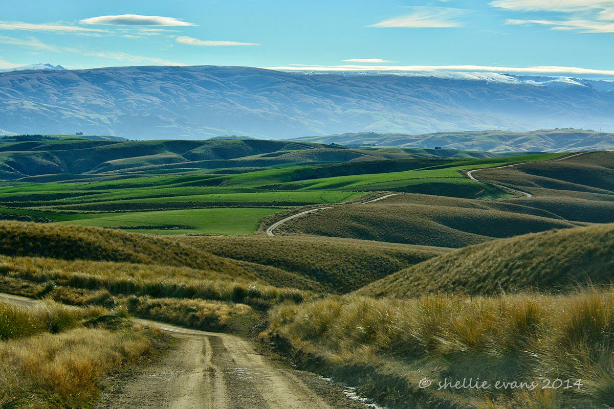 Two Go Tiki Touring: The Dismal Swamp- Lake Onslow