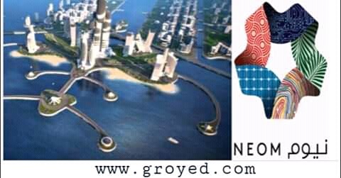 The most important advantages of Neom!