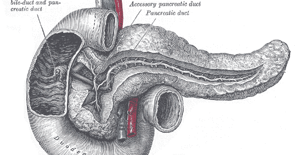 Información Oncológica: Ampolla de Vater; Carcinoma de la