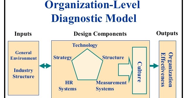 Human Resource Management: INTERNATIONAL ORGANIZATIONAL MODELS