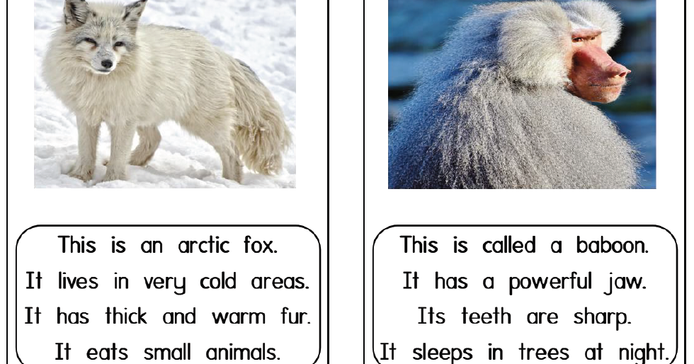 Passionate Teacher Tools: Wild Animals Reading Cards Set 1 (20 pages)
