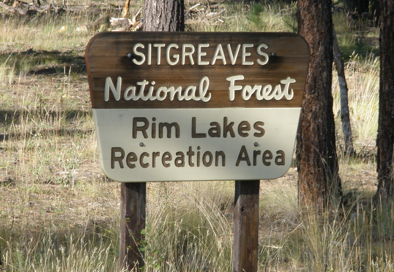 Arizona's Rim Lakes, Sitgreaves National Forest | Truck Camper Adventure