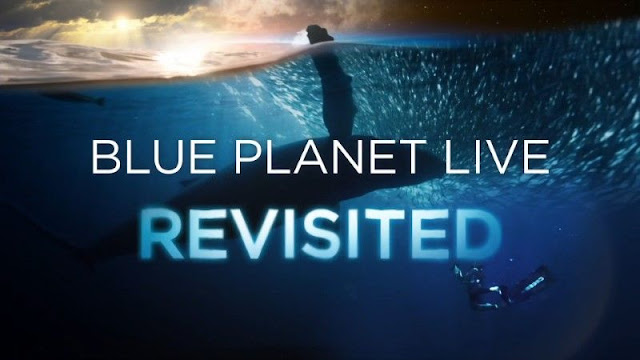 Asadal: BBC Blue Planet Revisited 2/2: Great Barrier Reef (2020)