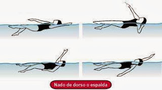 ESTILO ESPALDA NATACIÓN : ESTILO ESPALDA NATACIÓN