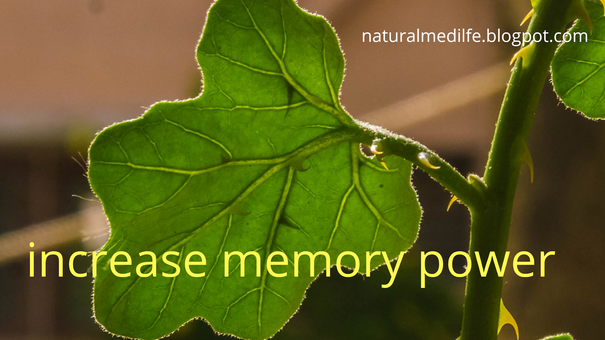 How to increase memory power