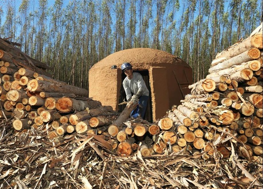 Geographically!: Theme 2 - Brazil - The Miracle of the Cerrado