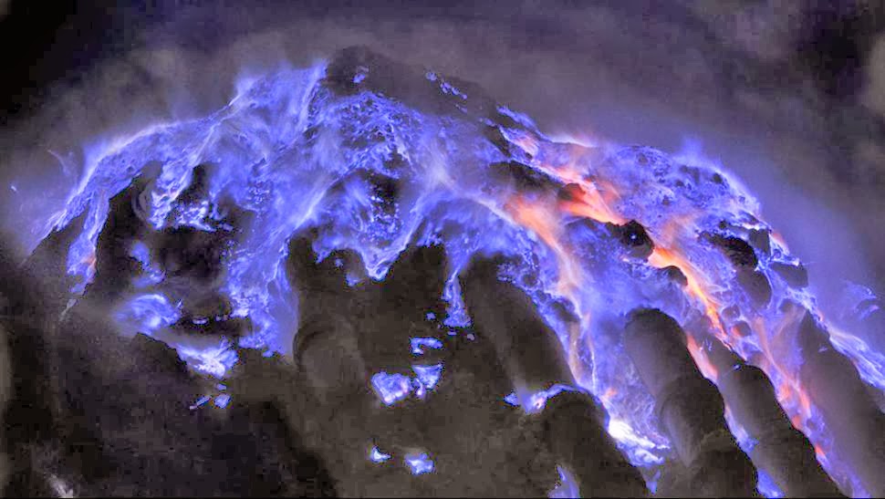 Fauna Urbana Villa María: Increíbles imágenes de la lava azul del ...