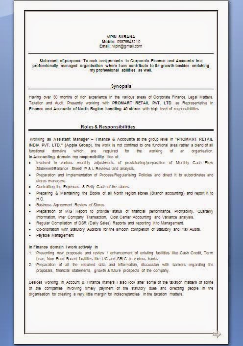 curriculum vitae word 2007