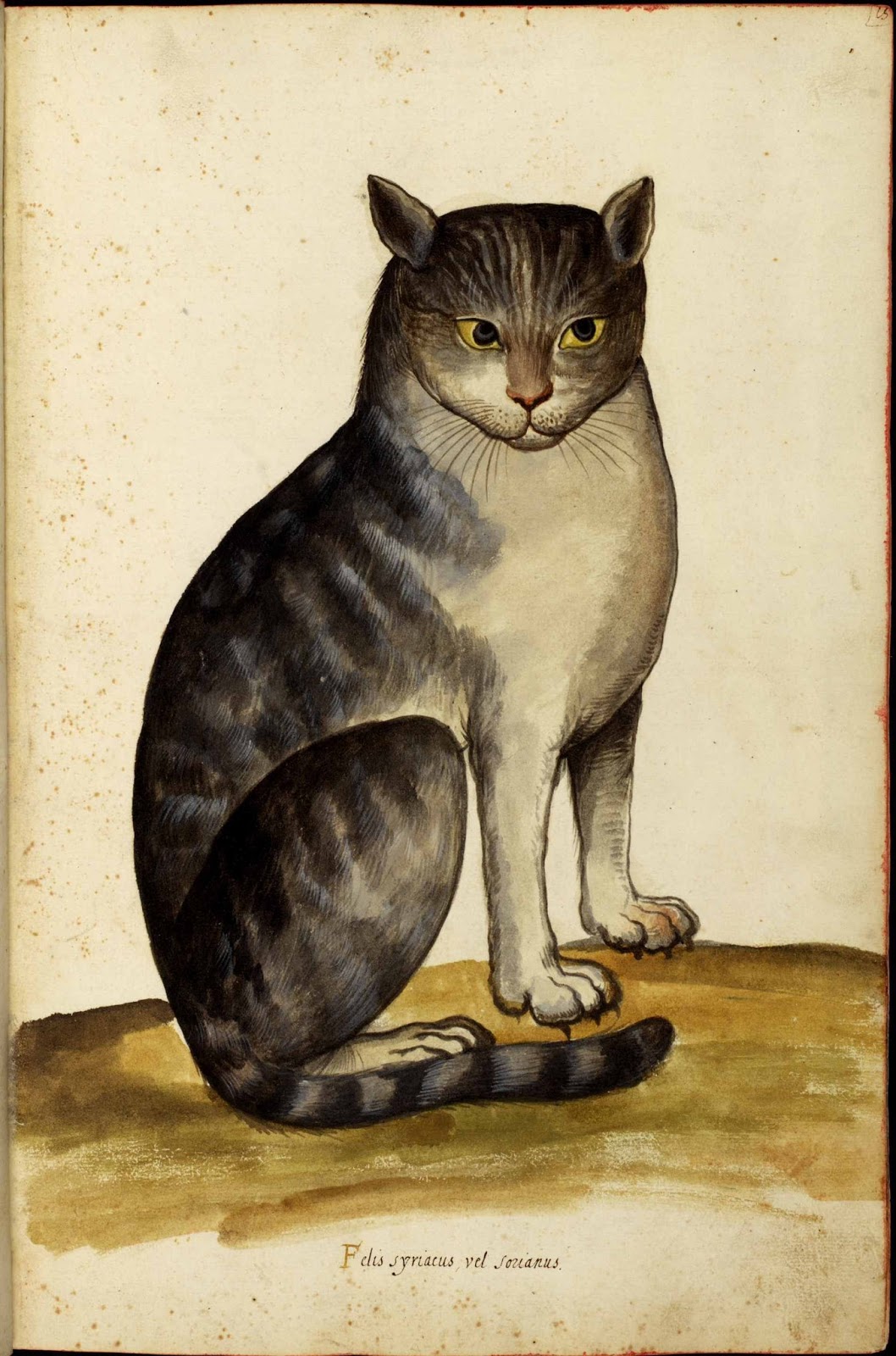 The Cat Post: Beautiful Antique Cat Prints