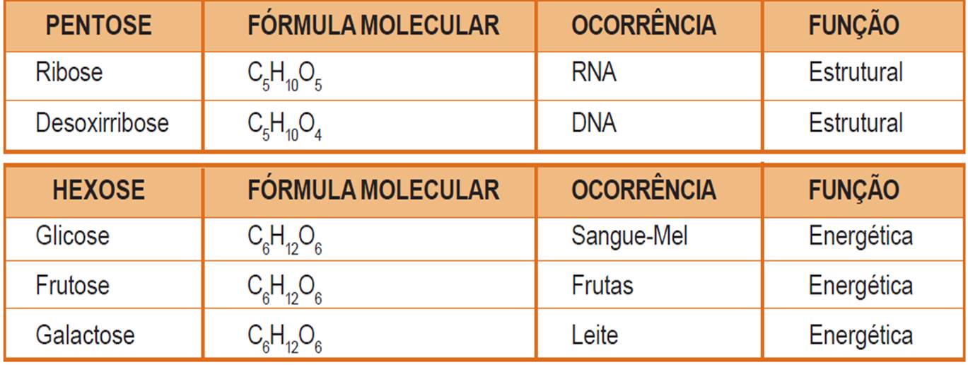 A caminho da Nutrição: BIOQUIMICA-COMPOSIÇÃO DOS SERES VIVOS