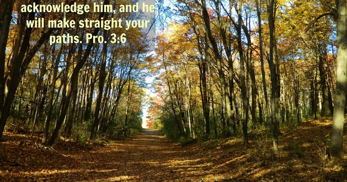 Living Scriptures Devotionals: THE CONFLICT OF THE SOUL