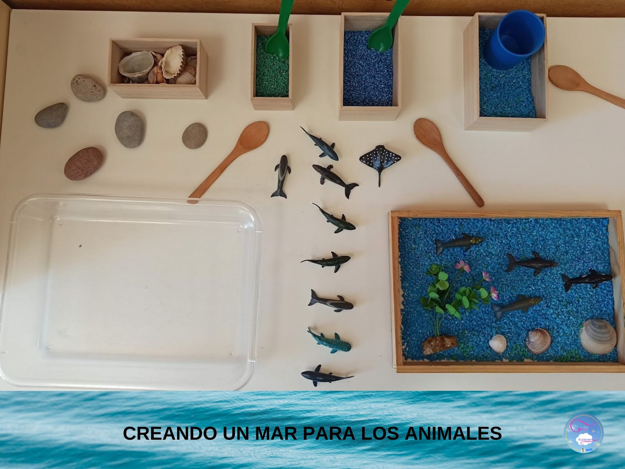 Cierzo de ilusiones: ANIMALES DEL MAR