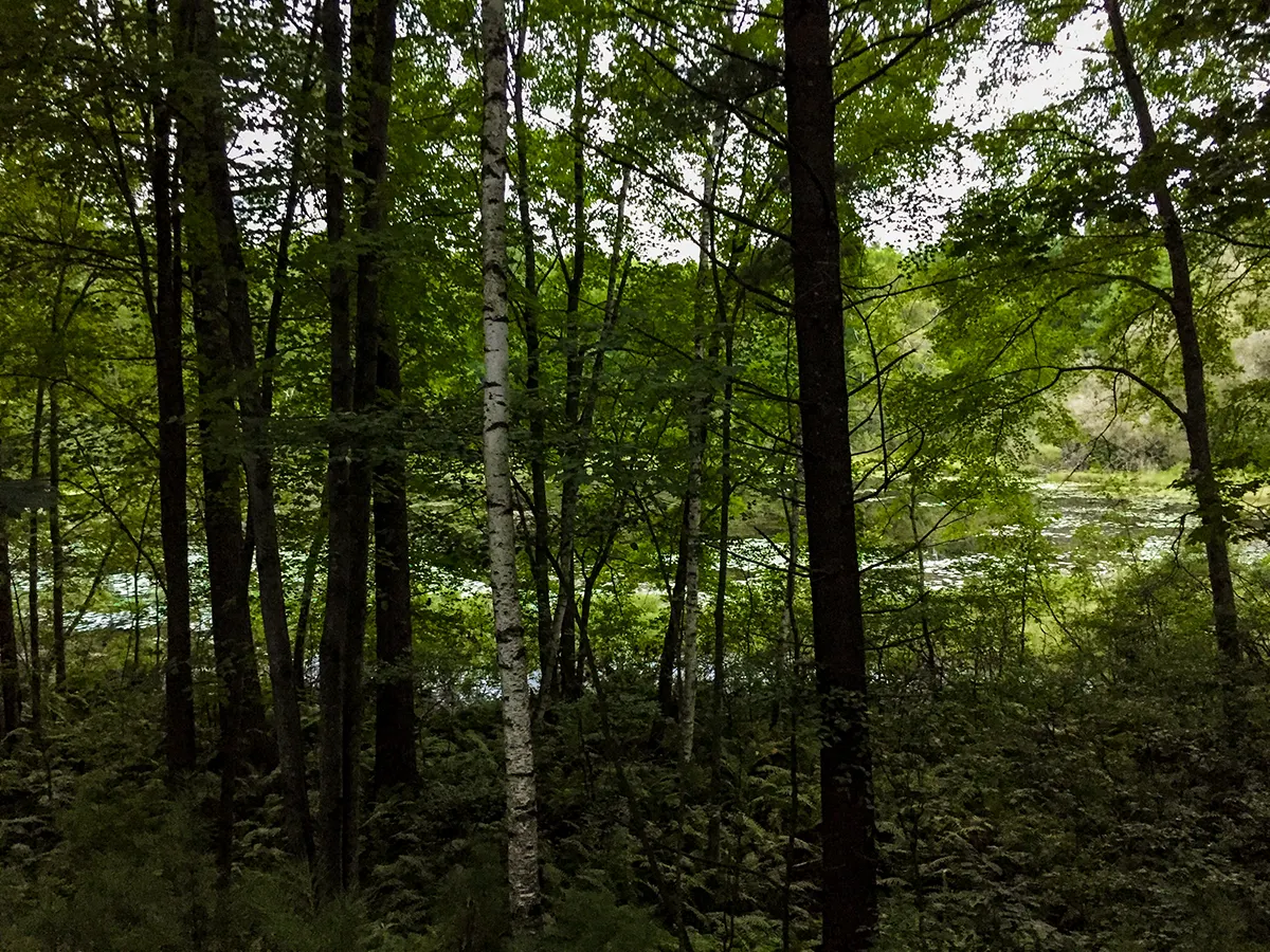 Hiking the Ice Age Trail Skunk and Foster Lakes Segment