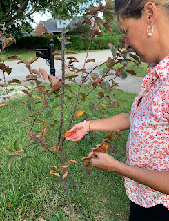 Midway Messenger: State investigating complaints by Highview Drive ...