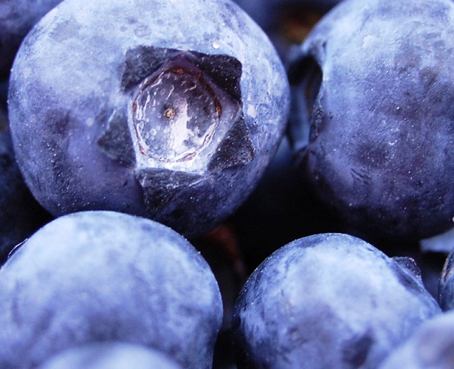 World of Fruit: Classification of fruits