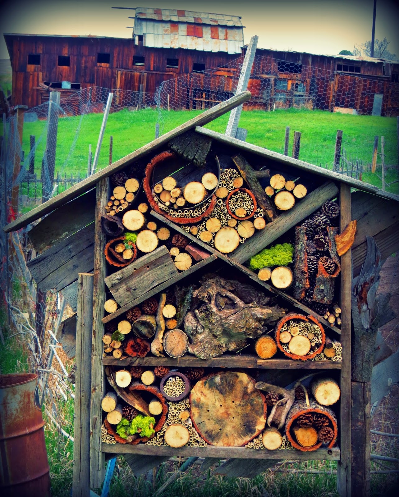 Flora montana: So you want to build a Pollinator Hotel...