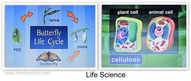 Science DVD Collection from Rock N Learn: Physical Science, Human Body ...