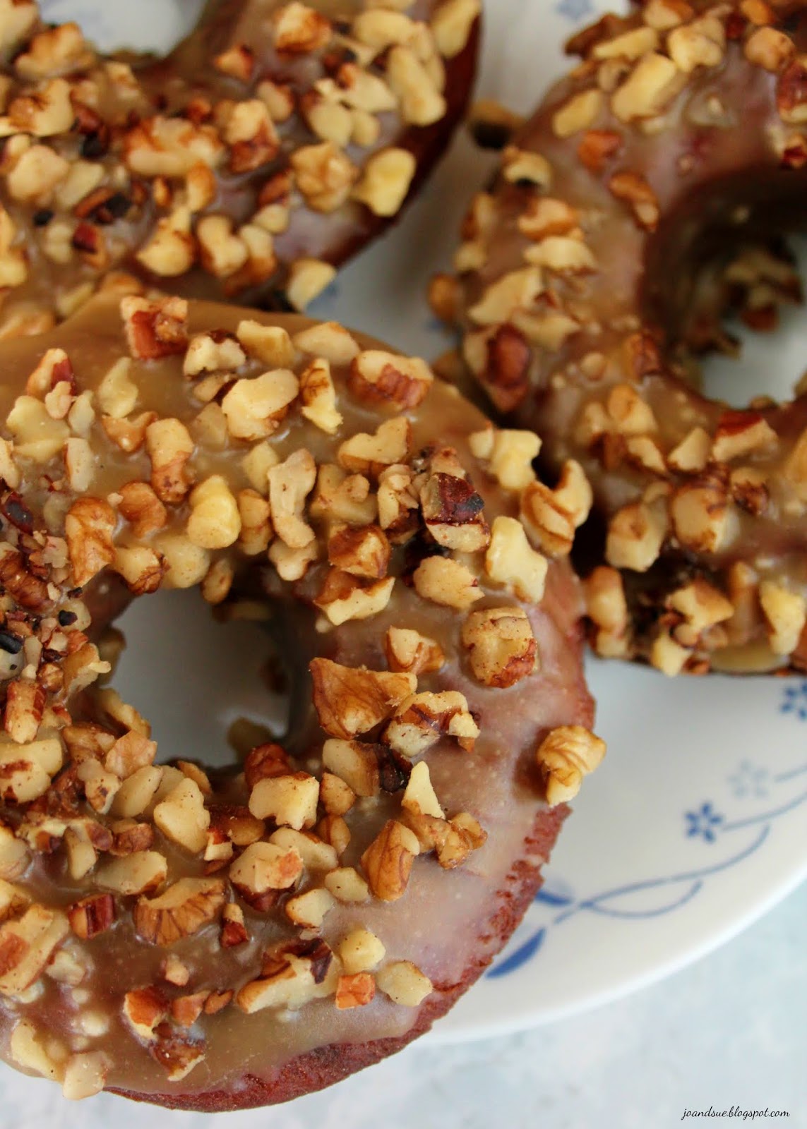 Jo and Sue: Turtle Donuts (Big Batch)