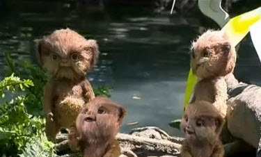 'Wako Wako' Well-loved by Filipinos, Creates Twitter Buzz | BIDA KAPAMILYA