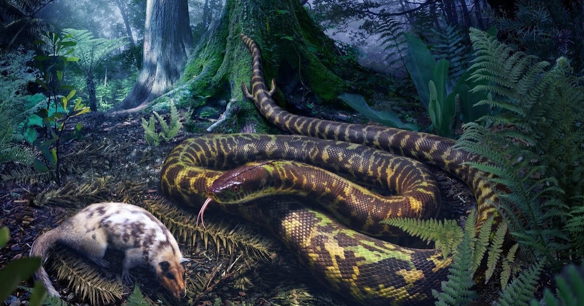 Species New to Science: [Paleontology • 2015] The Origin of Snakes ...