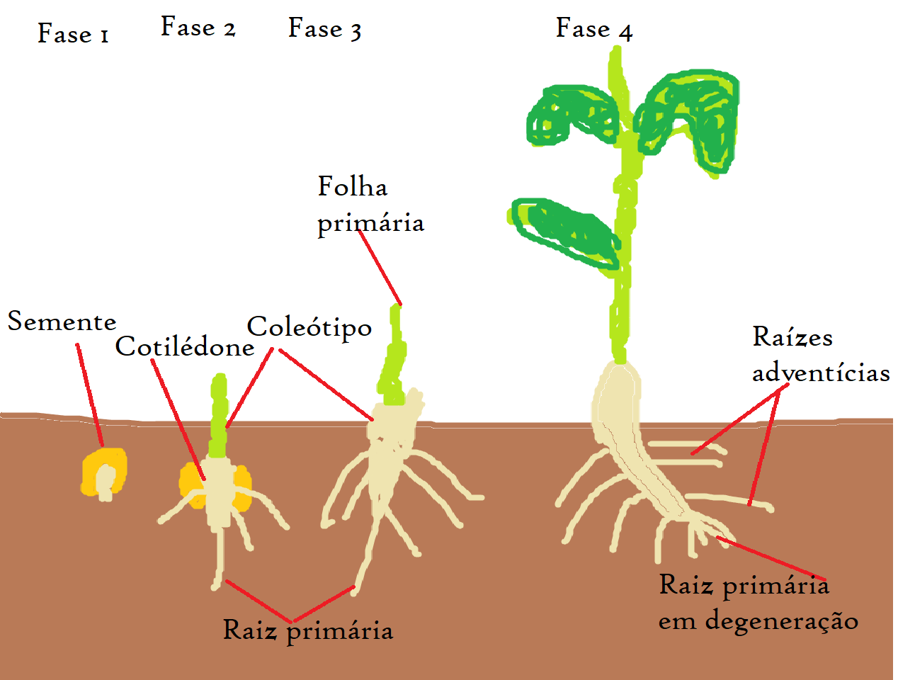 Os Cmpamigos e suas Aventuras na Biologia: junho 2020