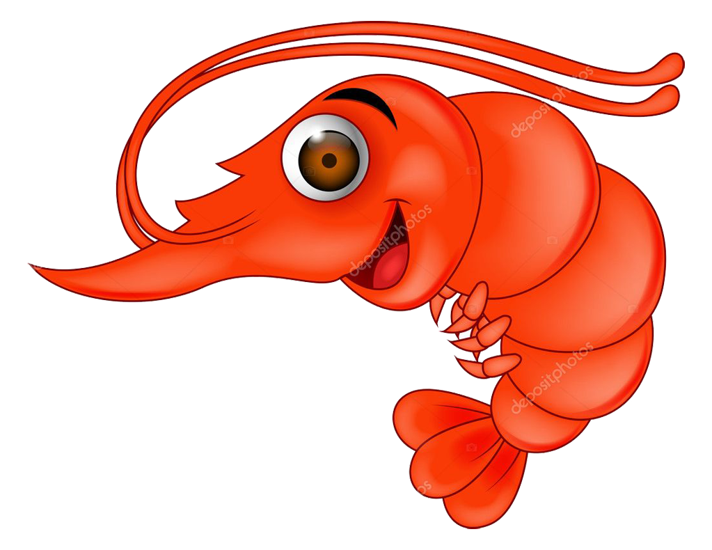Gambar Udang Vector Kartun Png Duniapng Tempatnya Download Gambar Png Gratis