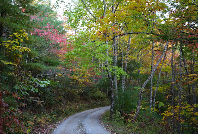 Sweet Southern Days: Parson Branch Road In The Great Smoky Mountains ...