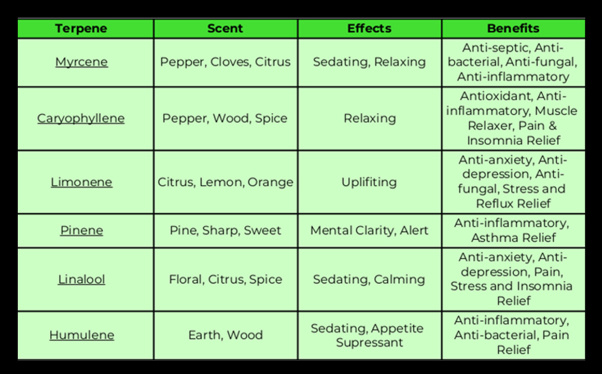 The Medical Marijuana Guide: What Are Terpenes?